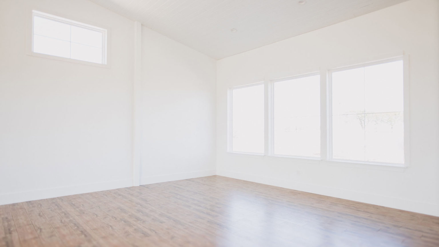 Studio » Stem and Light