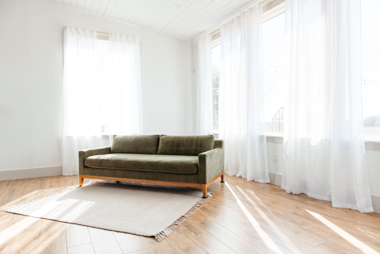 Studio » Stem and Light