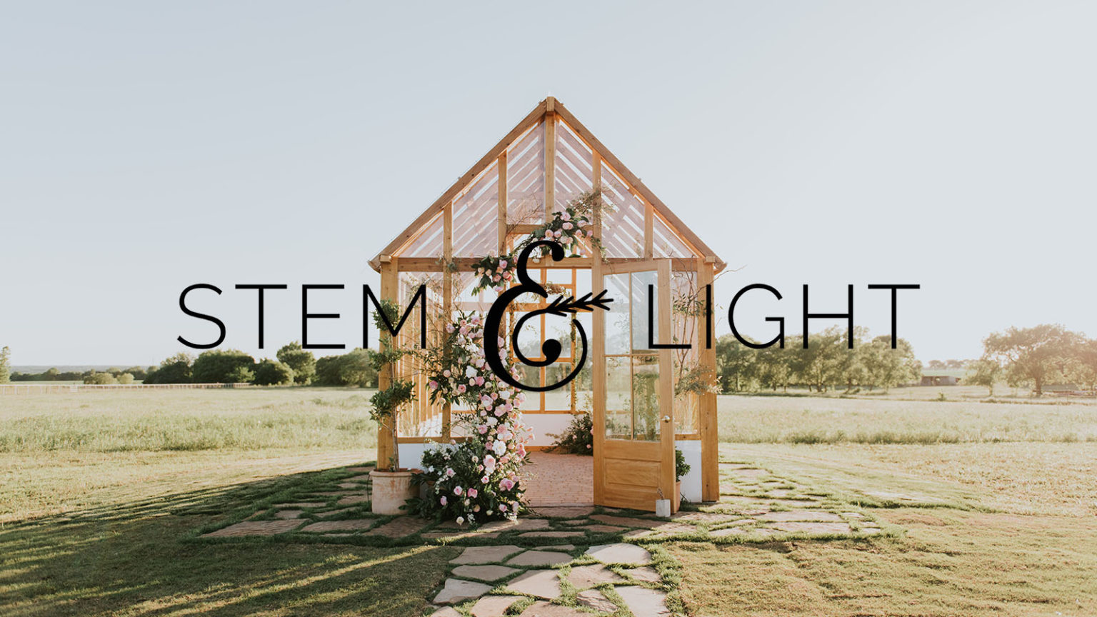 Studio » Stem and Light