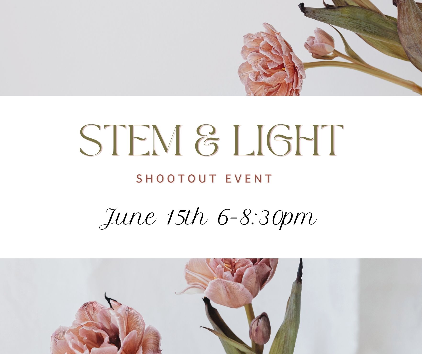 Events - Stem and Light